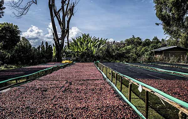 Dashboard PiE @ FDND, CMD & DD